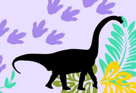 Events in Worcester – Visit Worcester