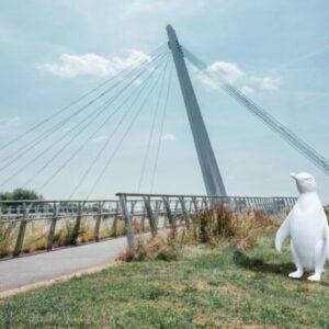 Events in Worcester – Visit Worcester